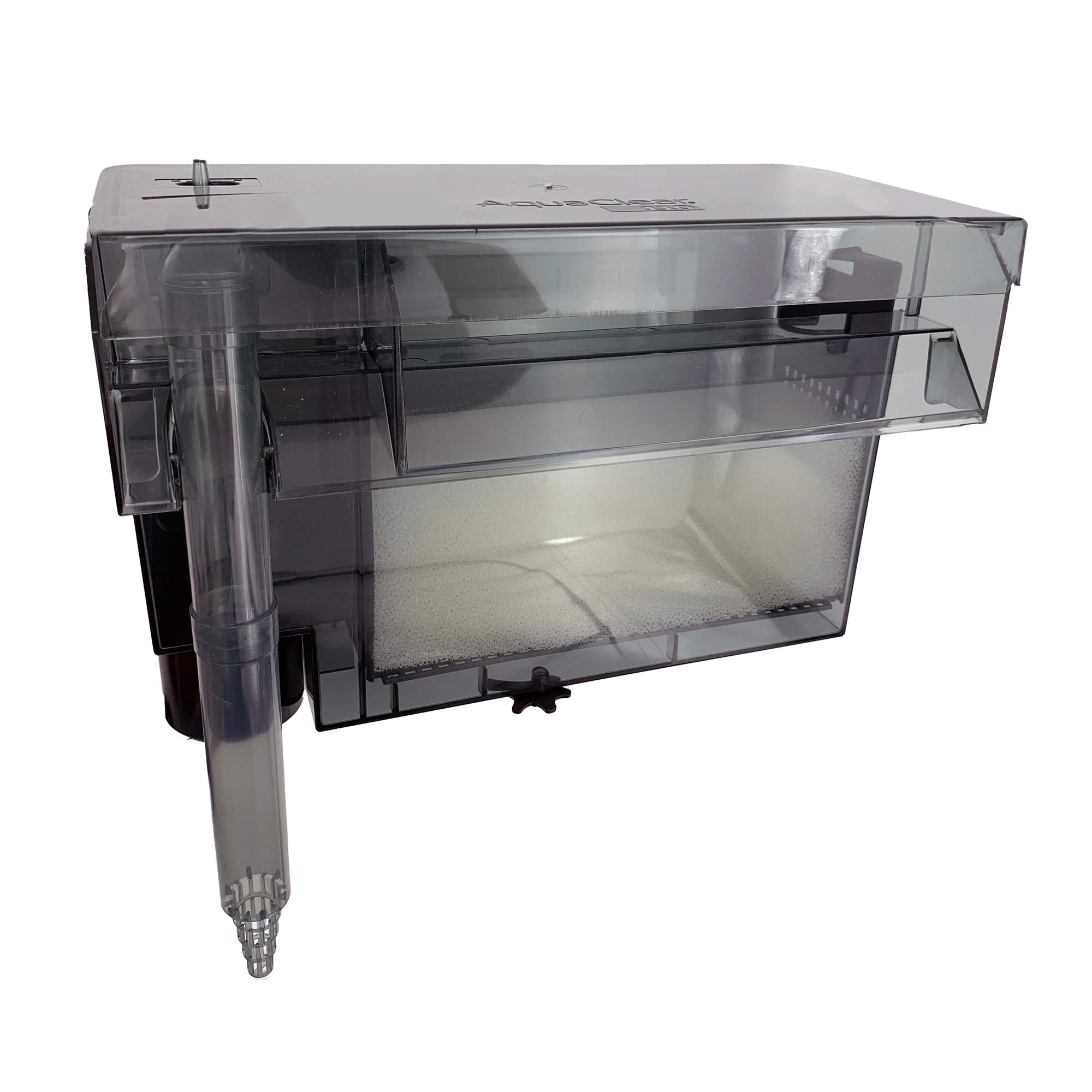 How To Set Up A Guppy Fish Tank: The 10 Step Guide For Beginners On ...