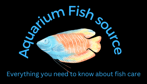 Golden Guppy: A Beginner's Guide To Care And Breeding - Aquarium Fish ...