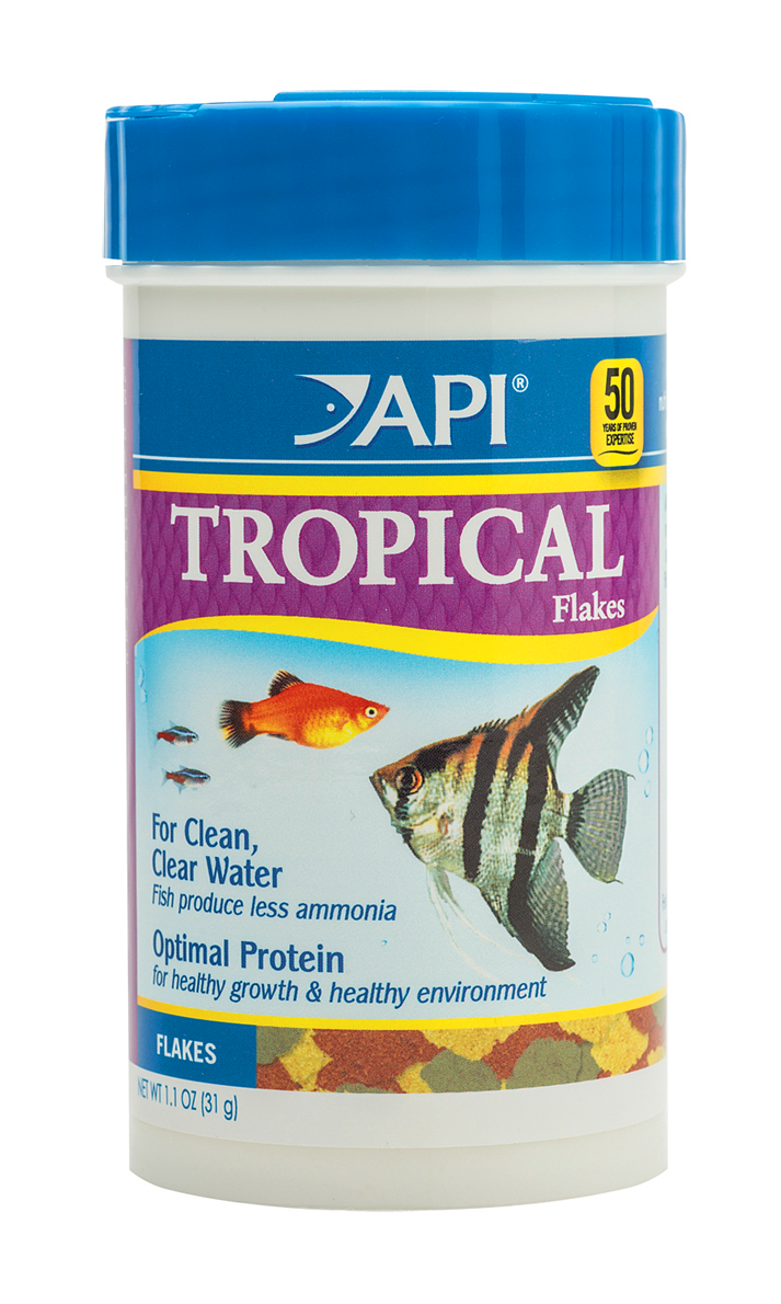 Freshwater Angelfish Diet And Feeding - Aquarium Fish Source